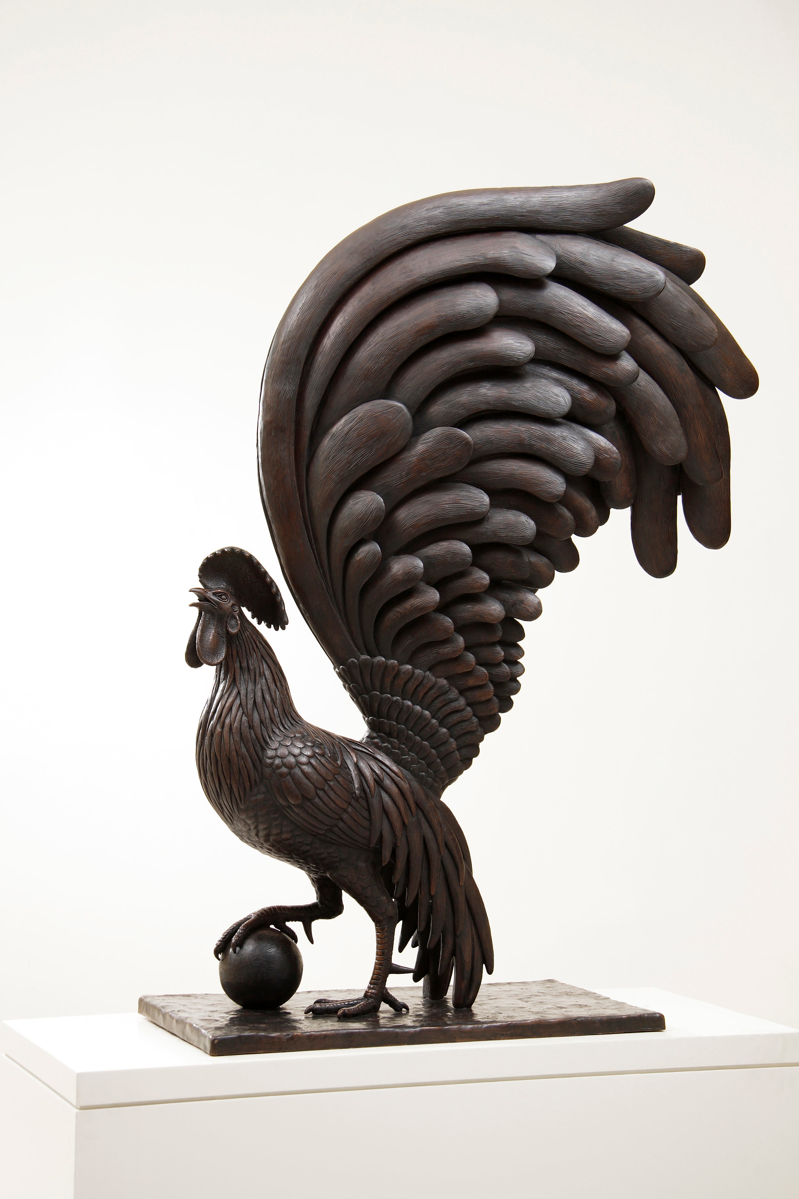 Gallo cola grande – Galerías Sergio Bustamante